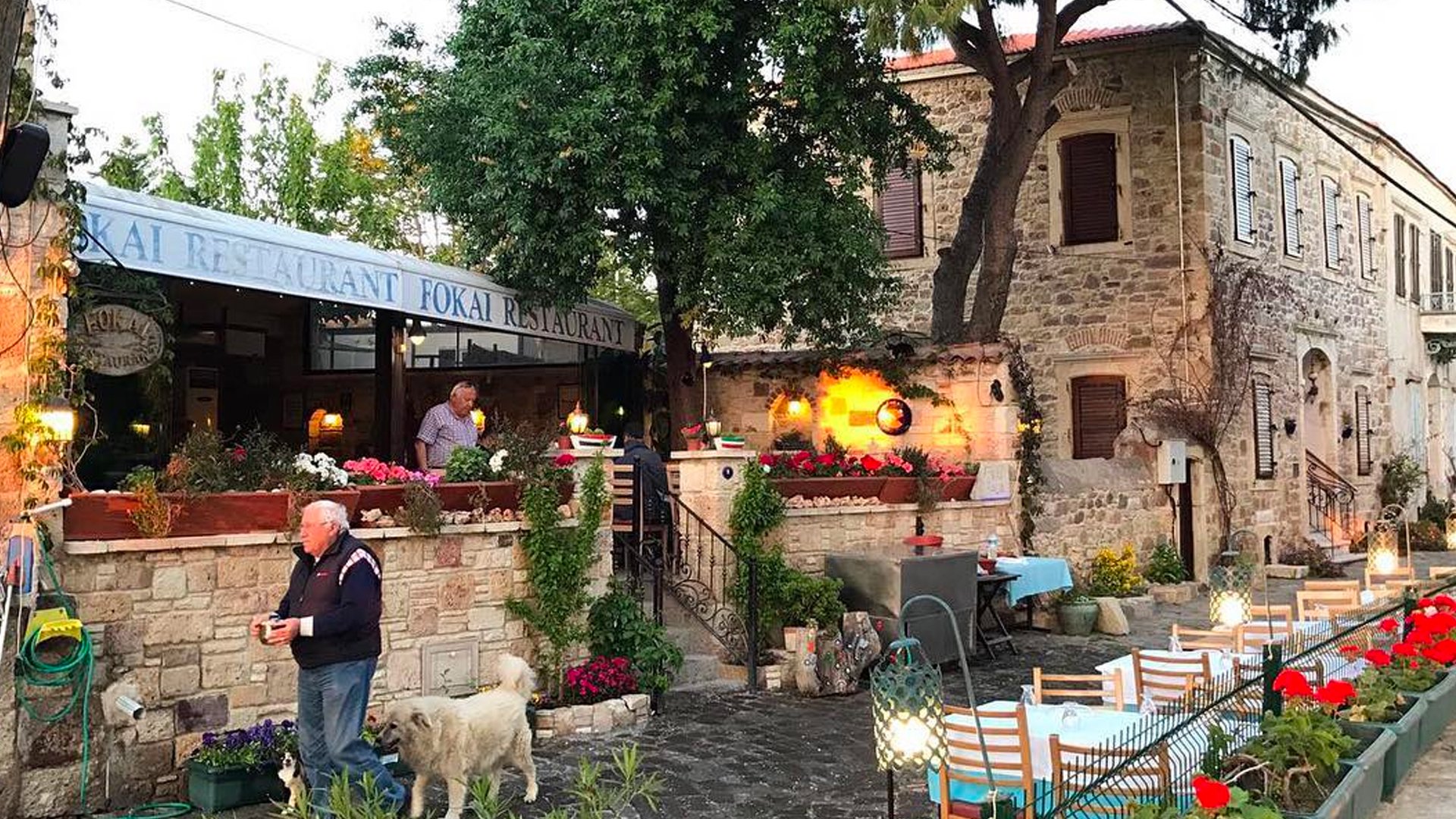 Best Fish Restaurants in Foça - Tripsday